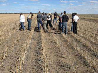 How do I manage stubble?